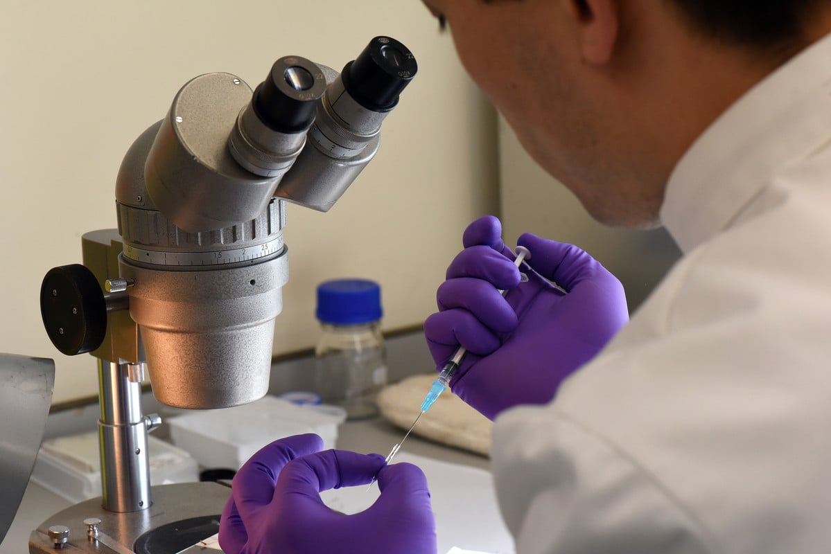 Training the next generation of UK bioscientists | LSHTM