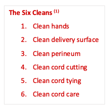Safe surface series: Clean birth, the six cleans and COVID-19 | LSHTM