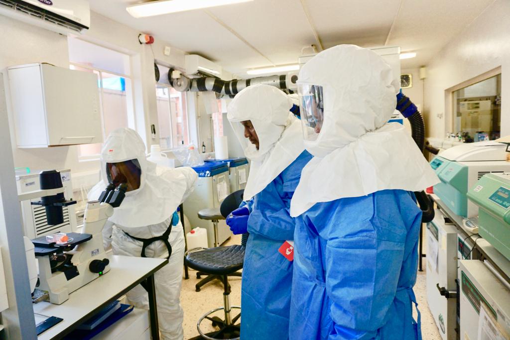Emerging infectious diseases | LSHTM