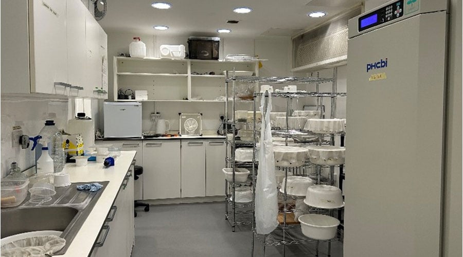 Public Health Entomology Group | LSHTM