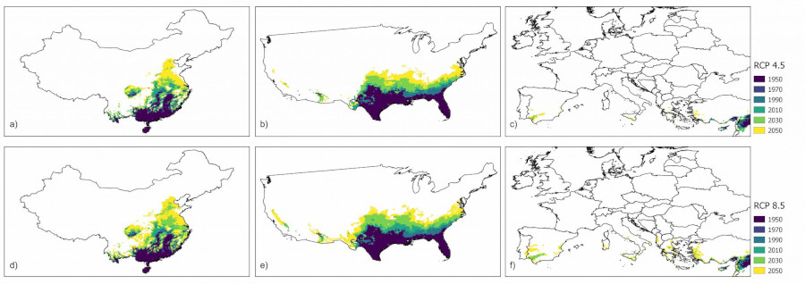 From lab to landscape – predicting global growth potential of the dengue