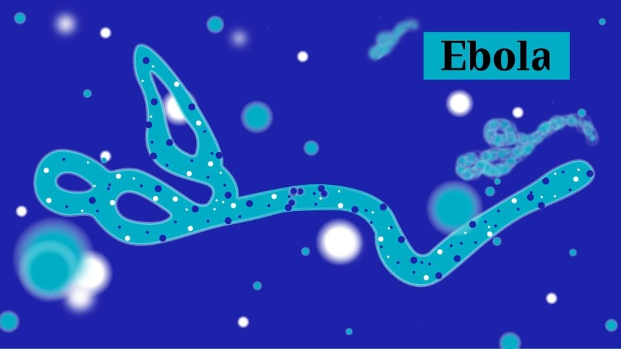 Rapid reaction: Ebola outbreak in DRC and Uganda | LSHTM