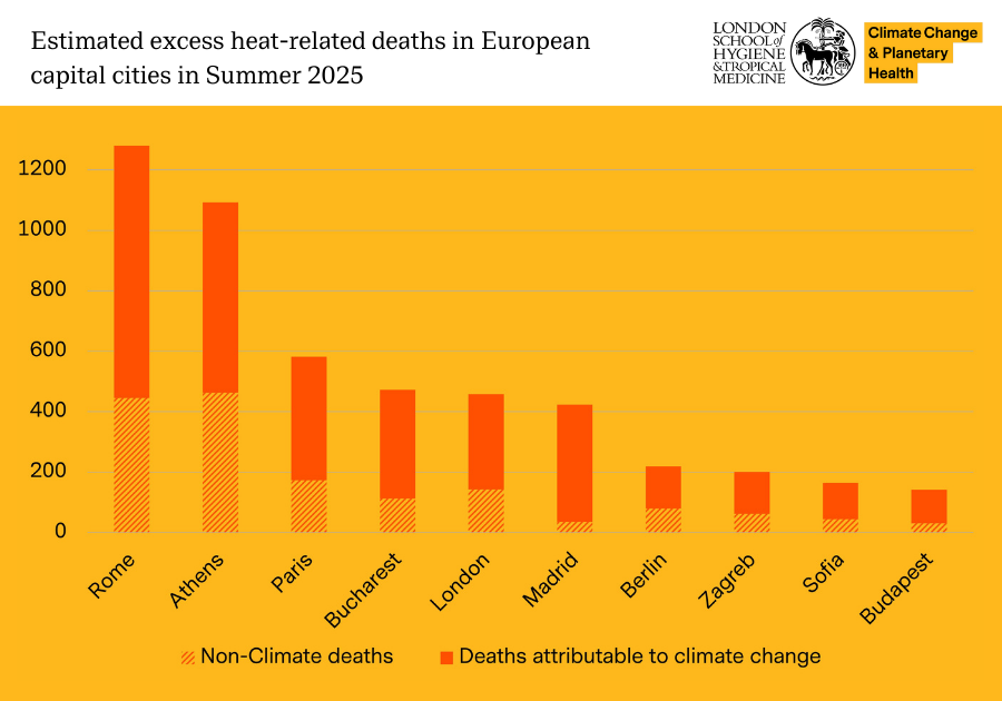 Climate change-driven summer heat caused 16,500 additional deaths ...
