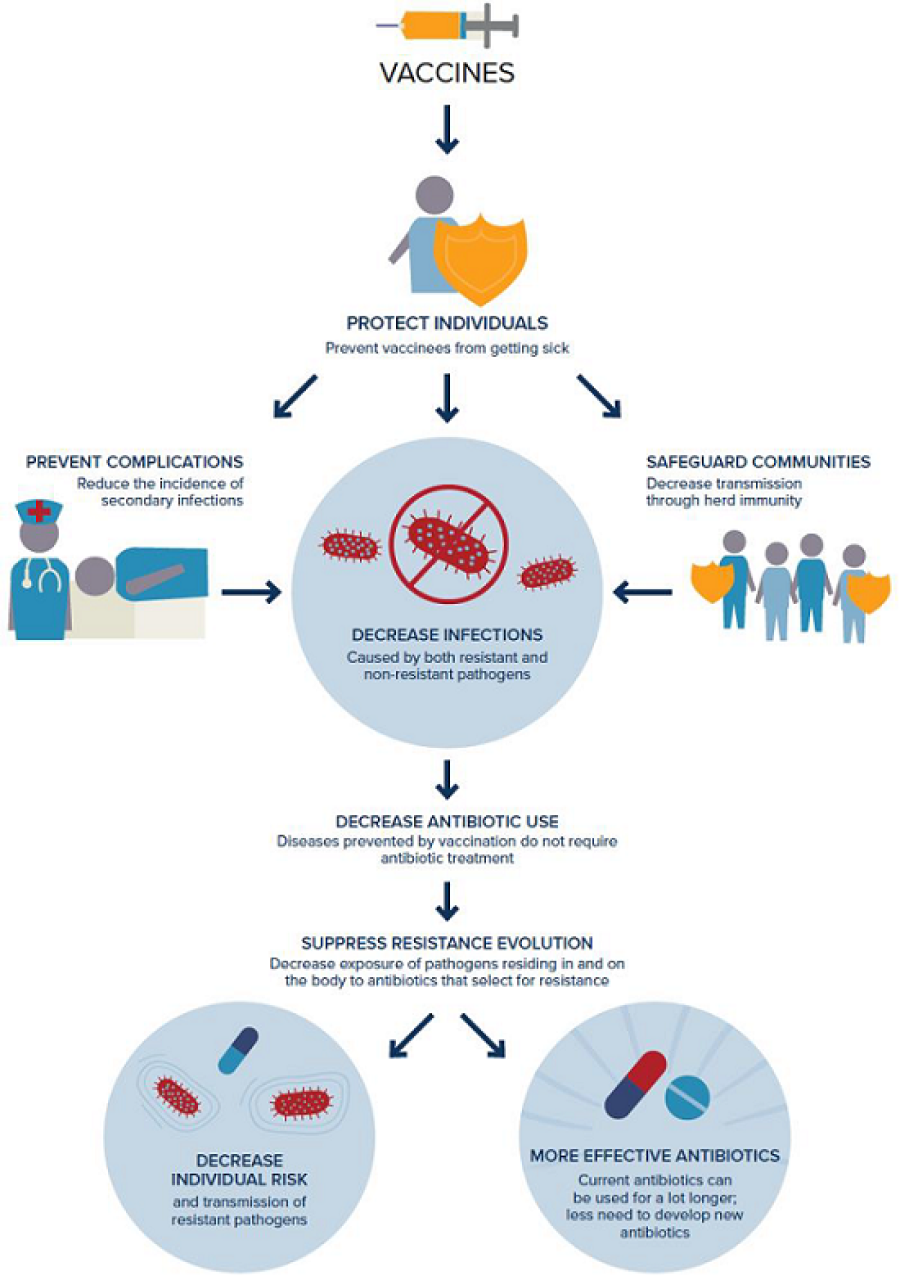 How do vaccines prevent AMR? | LSHTM