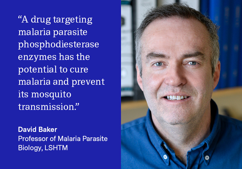 New antimalarial compounds block disease and transmission | LSHTM
